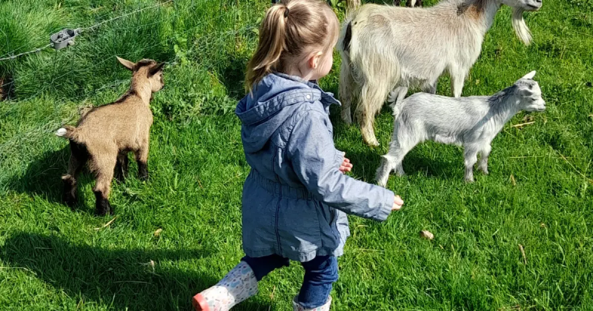 Normandie Caux Vexin